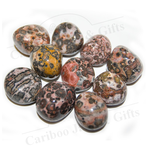 Leopard Skin Jasper, Tumbled - Cariboo Jade & Gift Shop